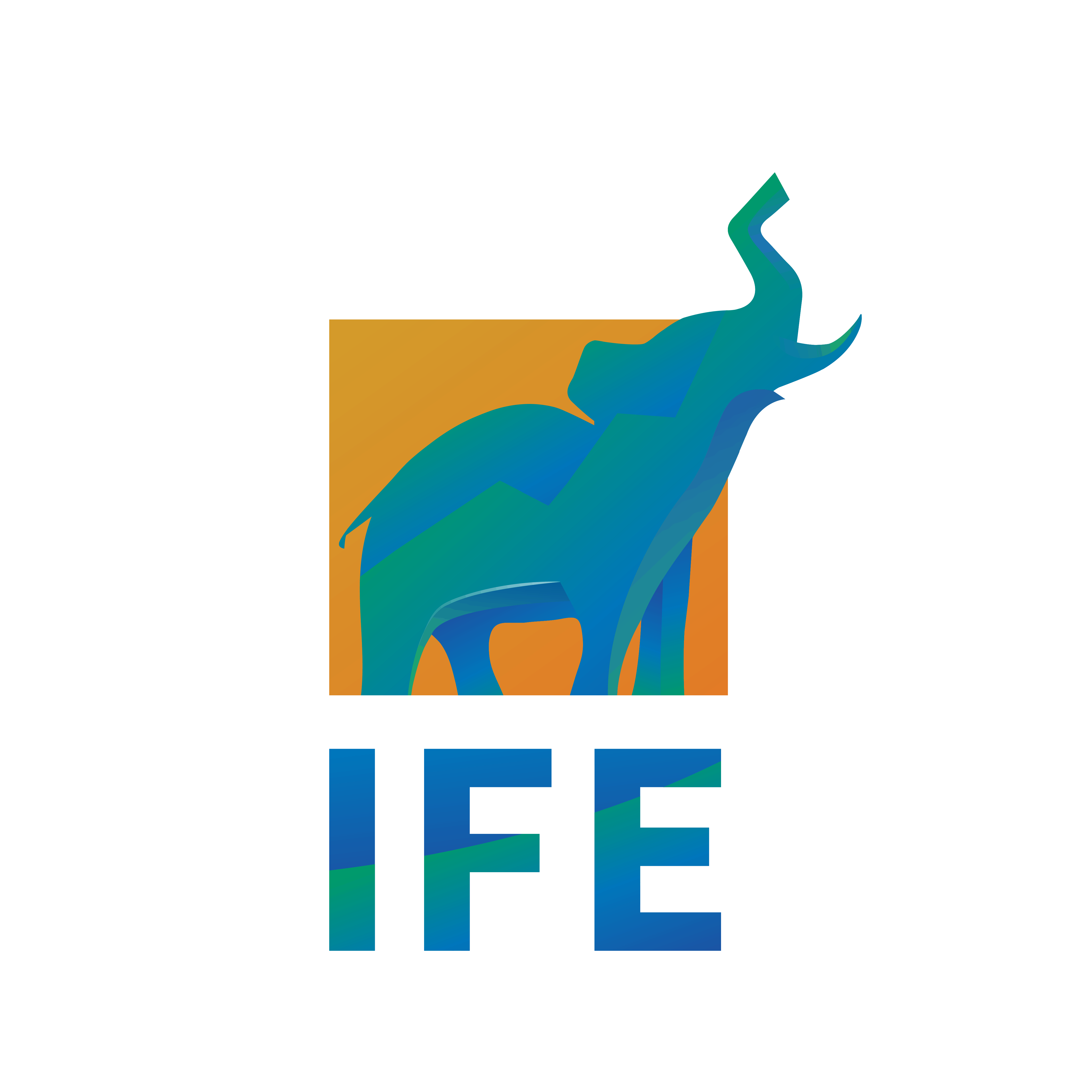 Videos – IFE Management